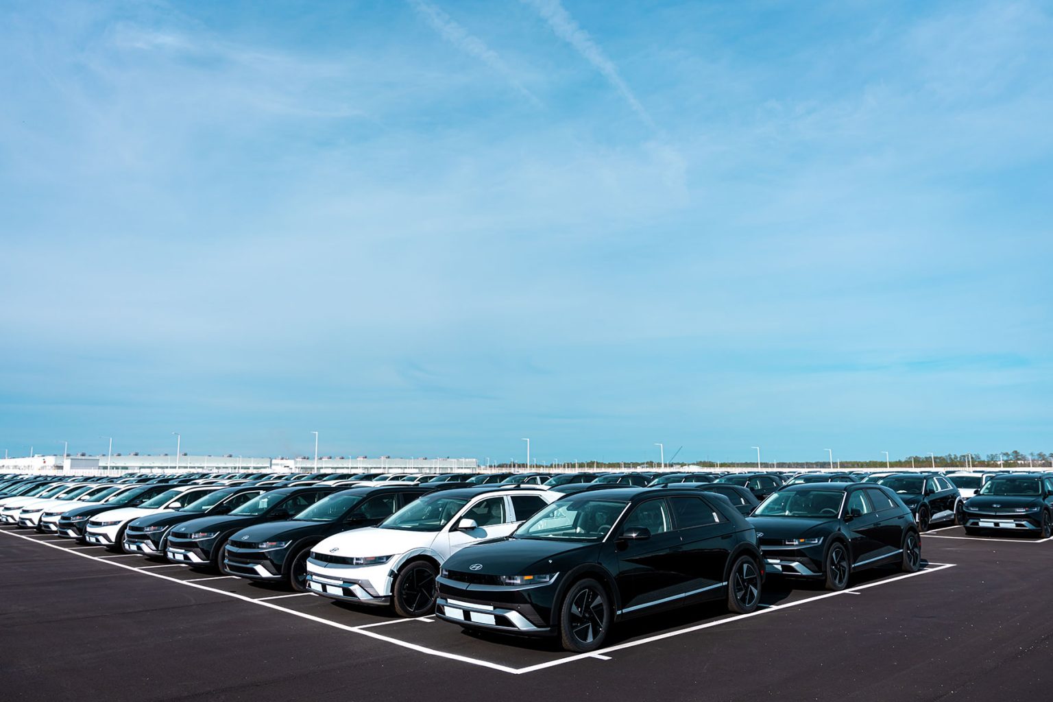 Our Products - HMGMA